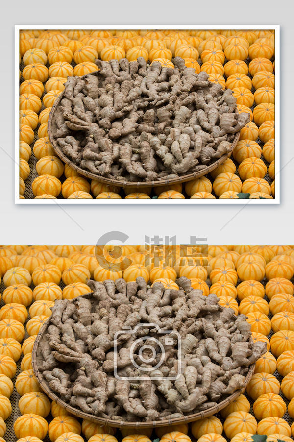 寿光蔬菜展示摄影图片摄影图1024*1540图片素材免费下载-编号1264945-潮点视频