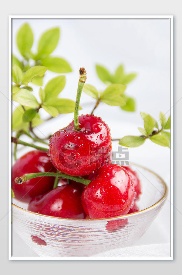 新鲜水果带水珠樱桃特写摄影图片摄影图1024*1542图片素材免费下载-编号1274173-潮点视频