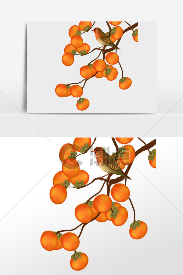 霜降柿子树鸟与柿子设计元素1024*1540图片素材免费下载-编号1348432-潮点视频