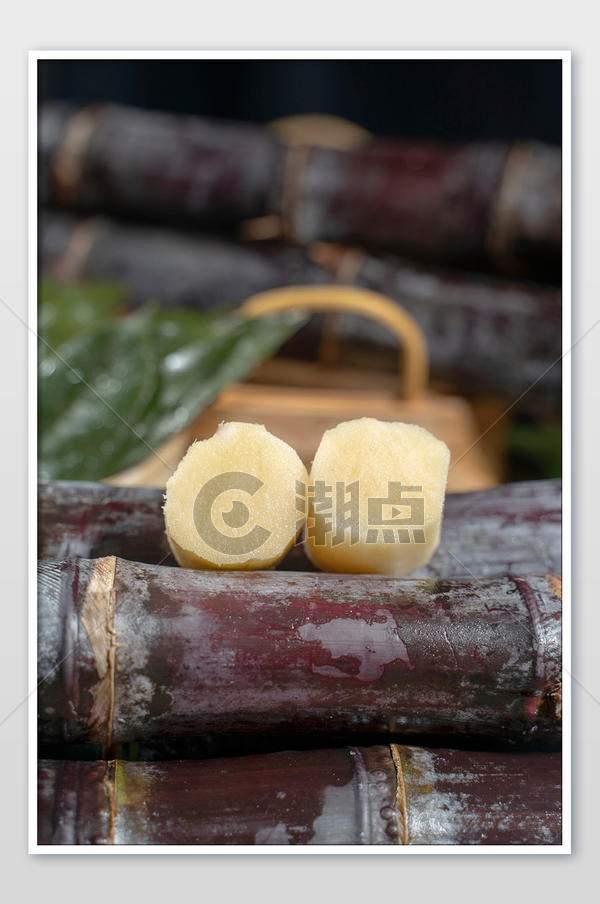 绿色美食甘蔗摄影图摄影图1024*1542图片素材免费下载-编号1356635-潮点视频