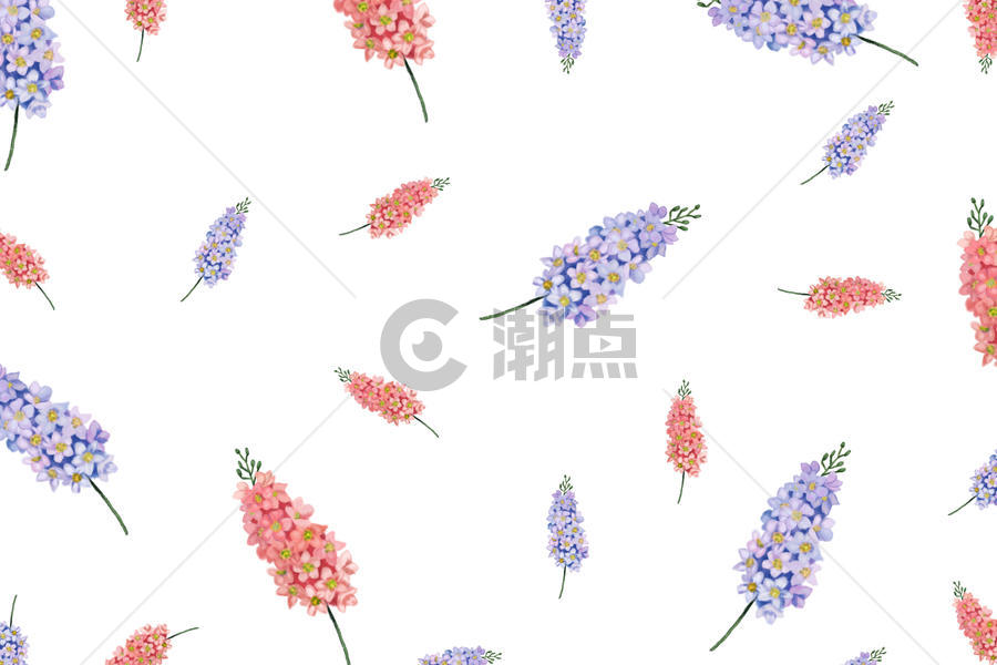 小清新风信子花卉插画原画450*300图片素材免费下载-编号51265-潮点视频