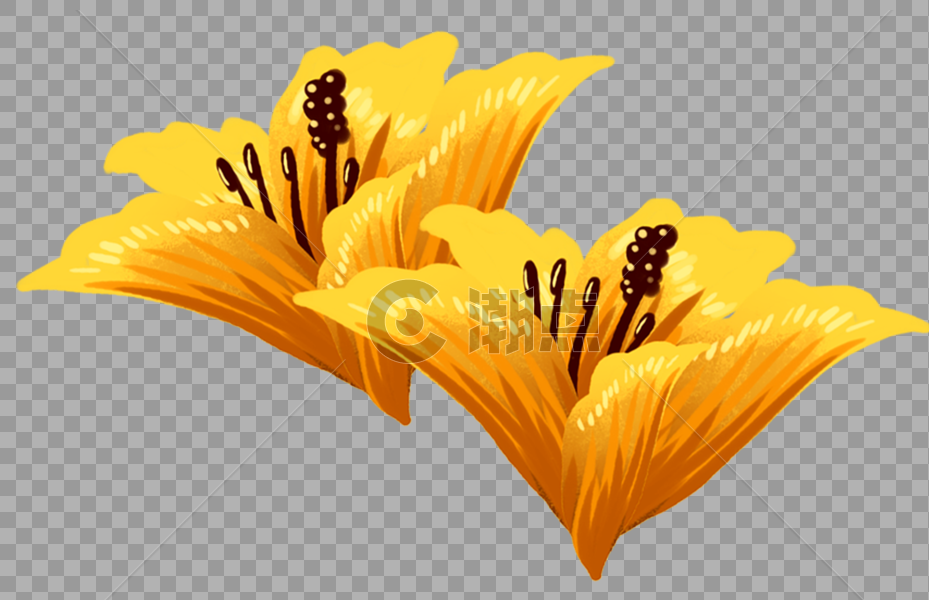 两朵花设计元素1872*1209图片素材免费下载-编号69251-潮点视频