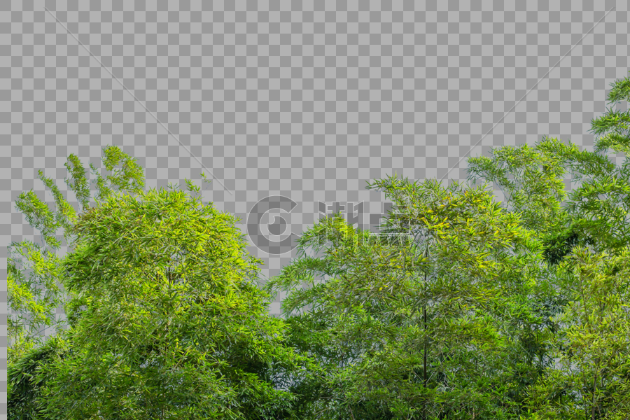 蓝天竹子绿植背景设计元素1973*1315图片素材免费下载-编号174372-潮点视频