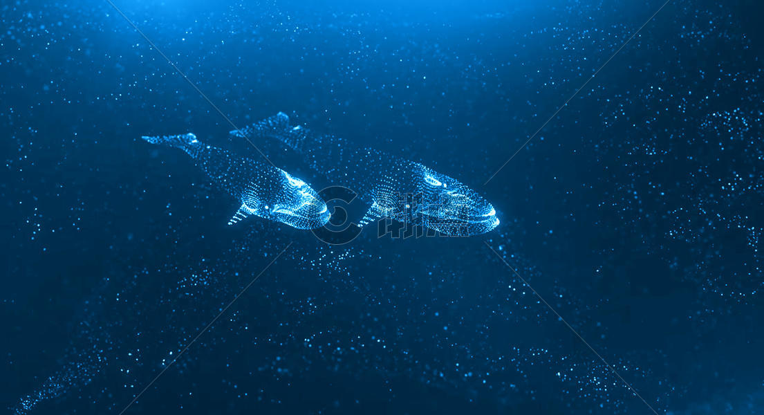 动物粒子背景通用背景4000*2172图片素材免费下载-编号179265-潮点视频