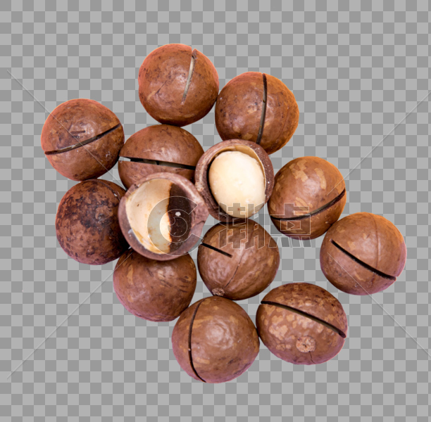 色彩夏威夷果设计元素1021*1000图片素材免费下载-编号209597-潮点视频