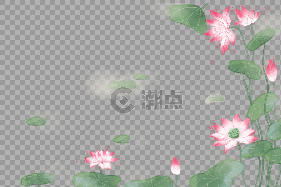 荷花设计元素3000*2000图片素材免费下载-编号590751-潮点视频