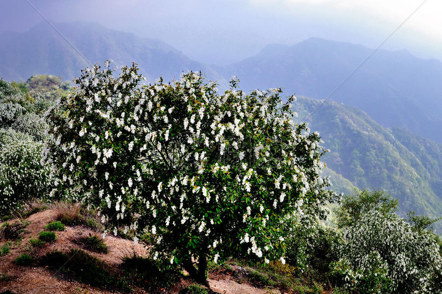 西安周边自然风光摄影图3120*2080图片素材免费下载-编号621743-潮点视频