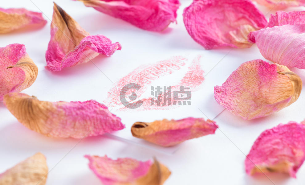 玫瑰花瓣唇印创意摆拍摄影图6000*3638图片素材免费下载-编号633609-潮点视频