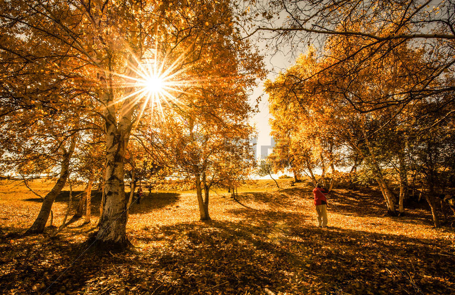 坝上秋色摄影图4082*2646图片素材免费下载-编号730660-潮点视频