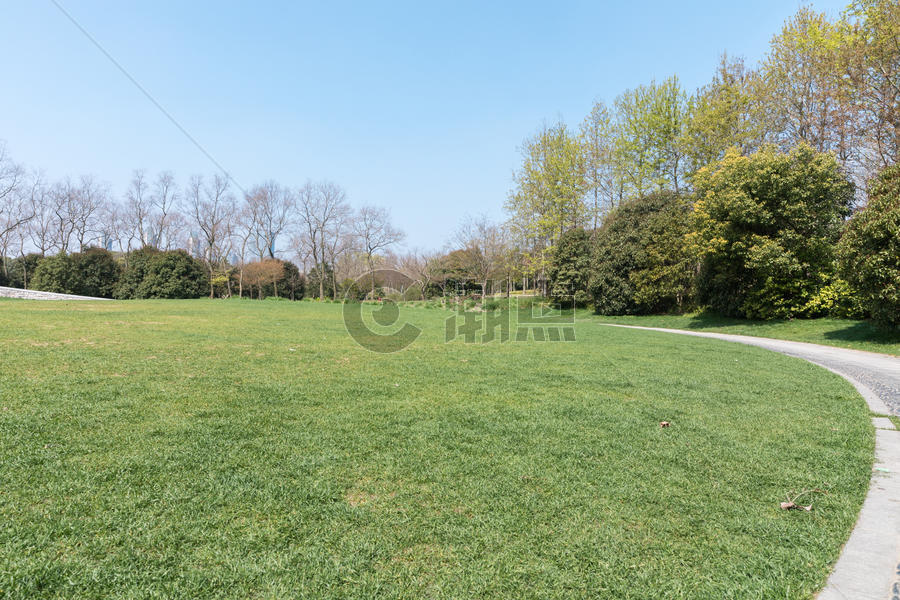 春天公园里的绿色草地摄影图6720*4480图片素材免费下载-编号784953-潮点视频