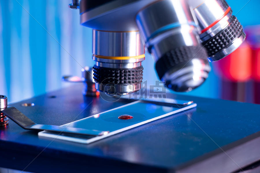 显微镜摄影图6000*4000图片素材免费下载-编号942612-潮点视频