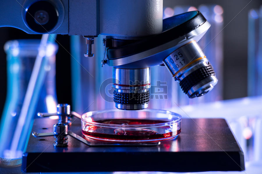 显微镜摄影图5930*3953图片素材免费下载-编号942618-潮点视频