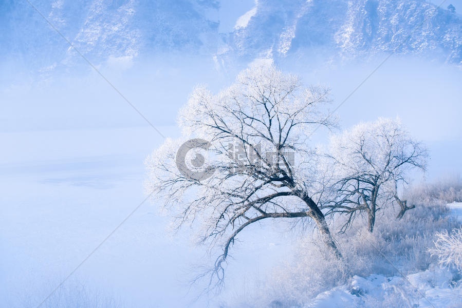 冬天雾凇摄影图7360*4912图片素材免费下载-编号994713-潮点视频