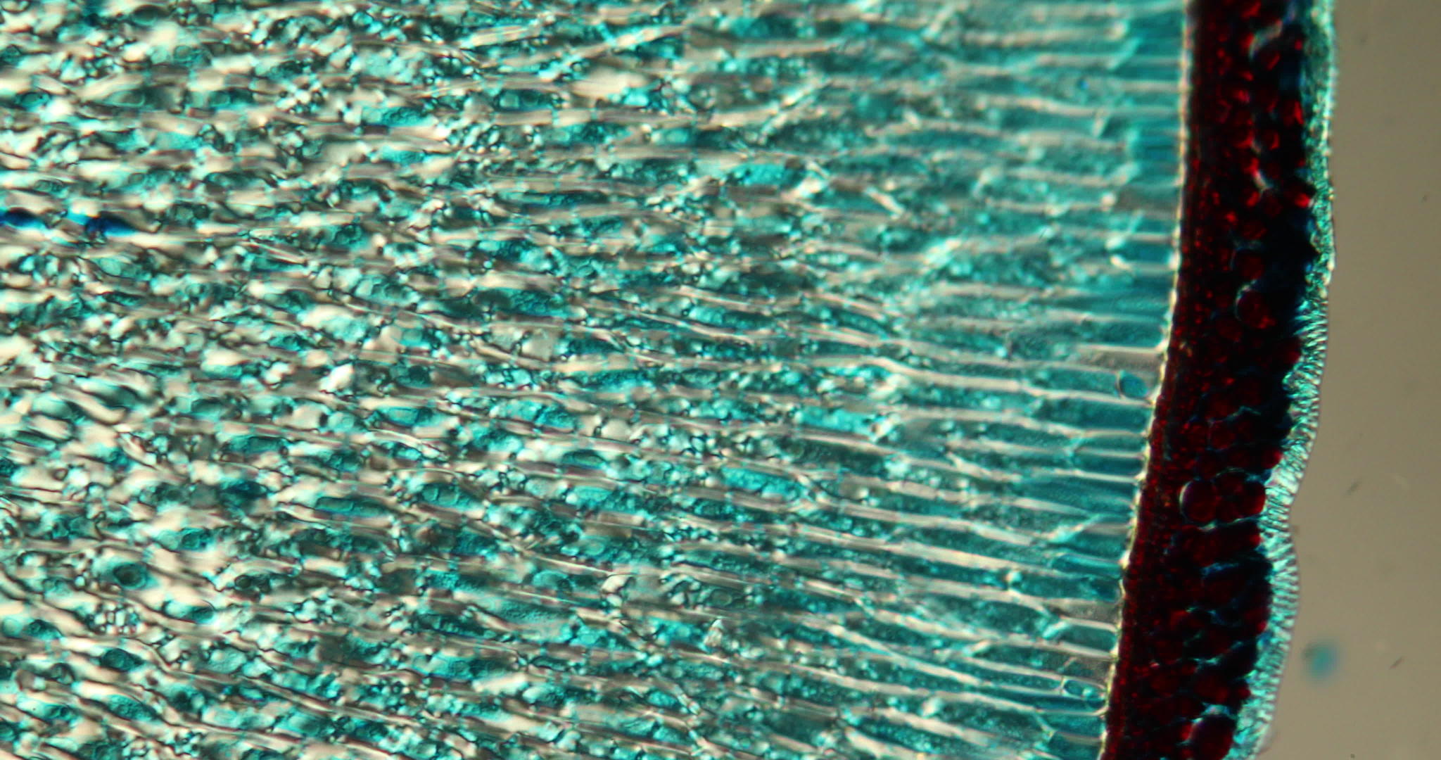 纸浆造纸厂mov1080P视频素材下载-编号4026003-潮点视频