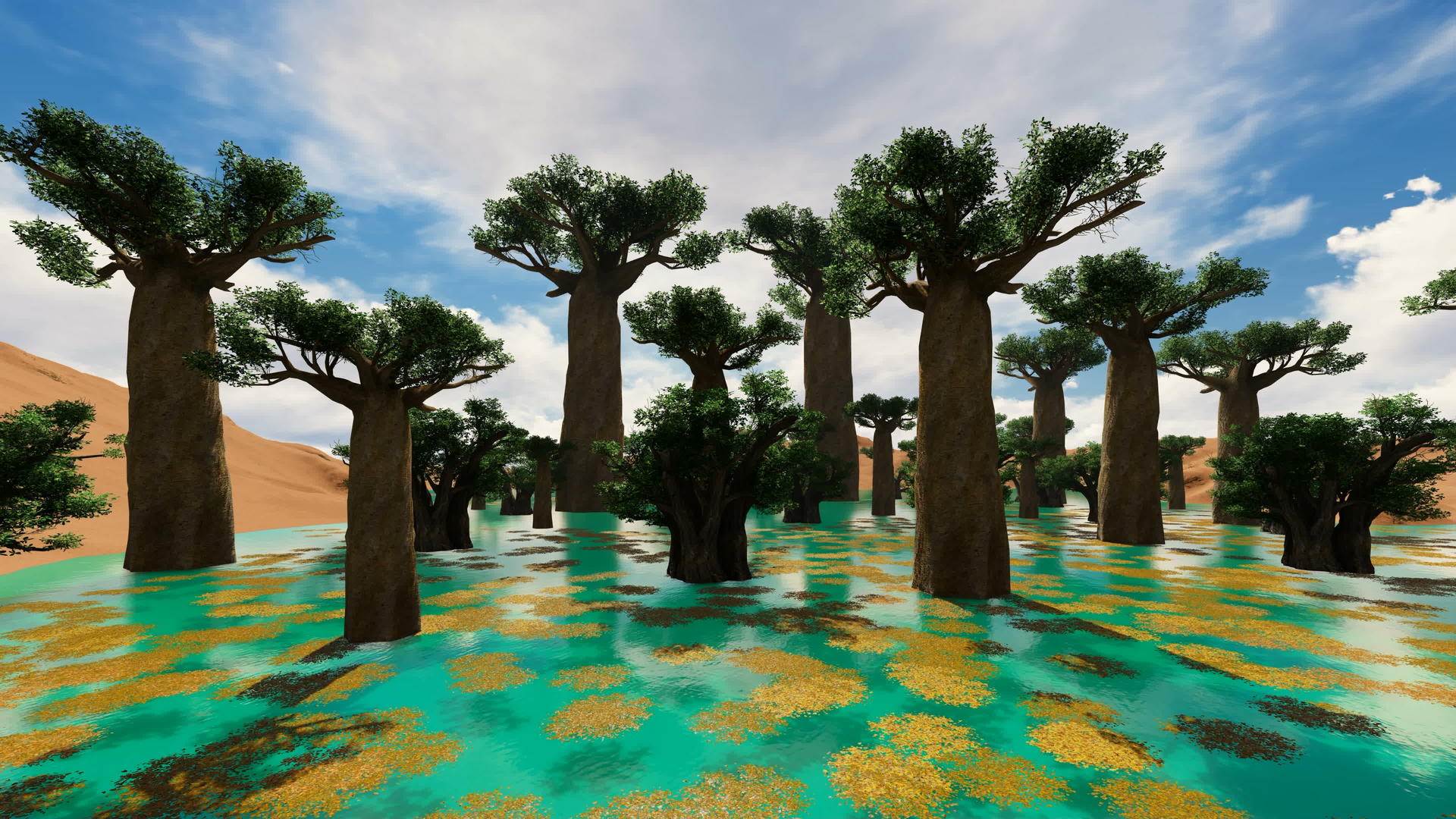 夜间baboba树mov4K视频素材下载-编号4897115-潮点视频